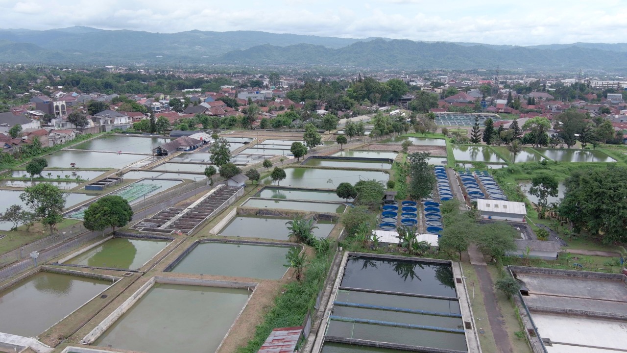 Cara KKP Sukseskan Program Ekonomi Biru | pingintau.id Cara KKP Sukseskan Program Ekonomi Biru | pingintau.id