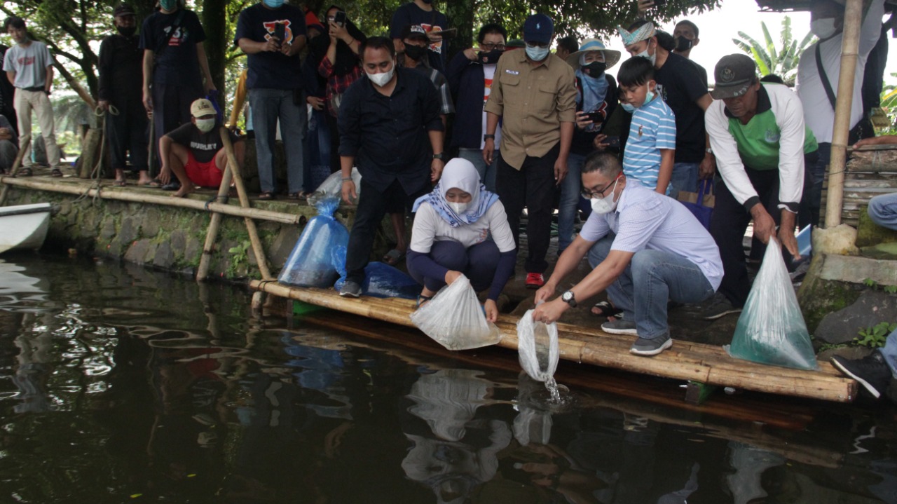 KKP & ‘TAN96UH’ Tebar 33 Ribu Ikan Situ Gede, Kampanyekan Juga Ekonomi ... KKP & ‘TAN96UH’ Tebar 33 Ribu Ikan Situ Gede, Kampanyekan Juga Ekonomi ...